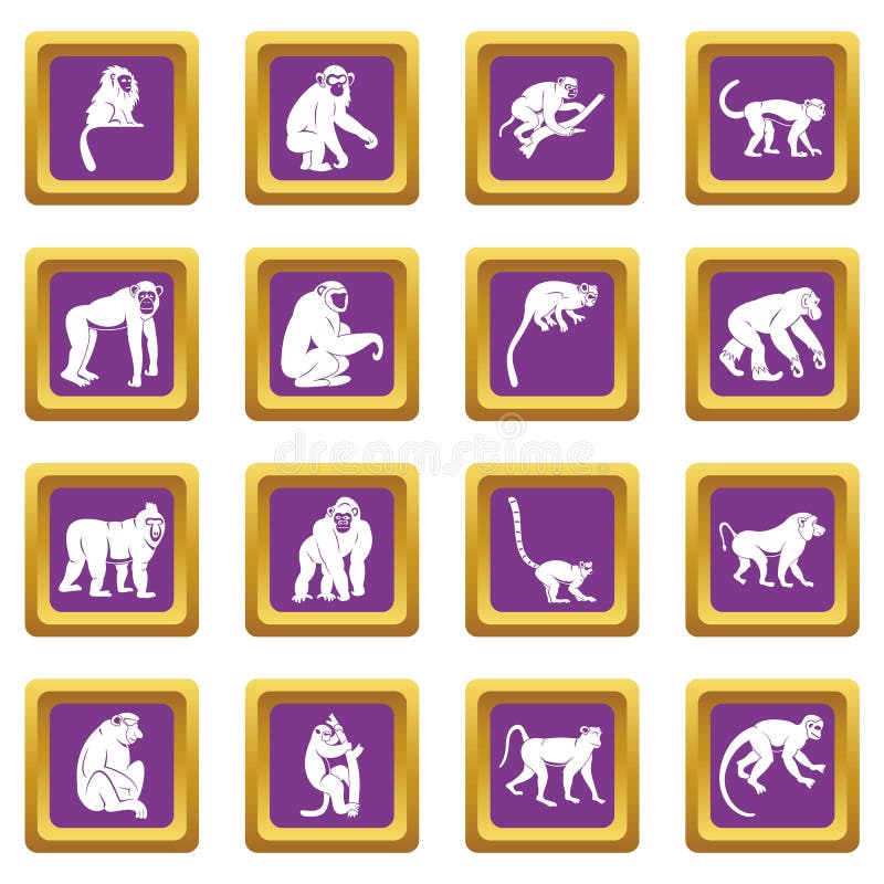 Monkey Types Icons Set Purple Stock Vector - Illustration of design ...