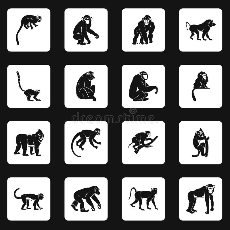 Monkey Types Icons Set in Flat Style Stock Vector - Illustration of ...