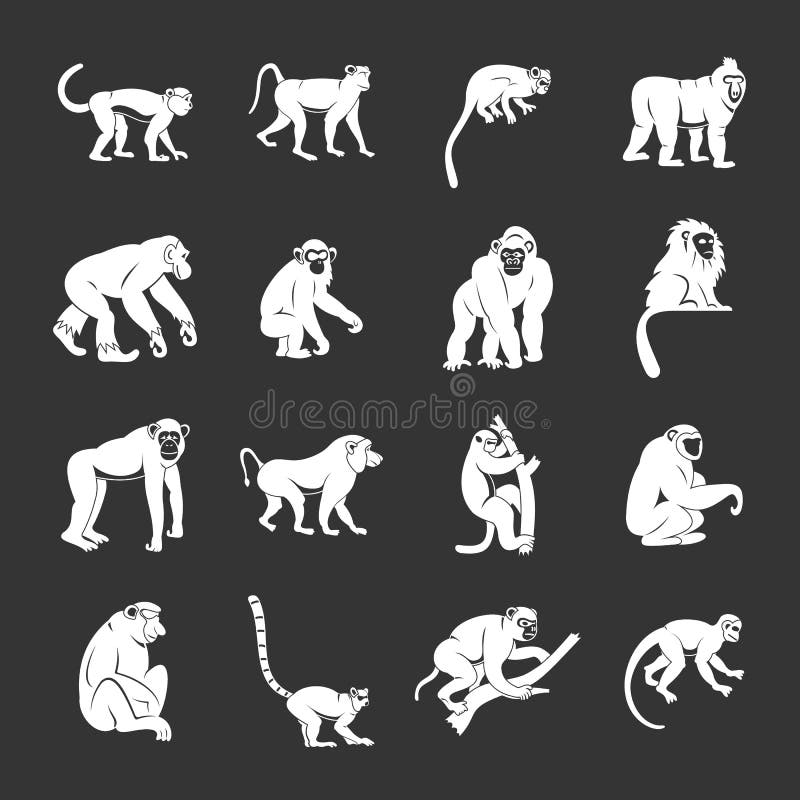 Monkey Types Icons Set in Flat Style Stock Vector - Illustration of ...