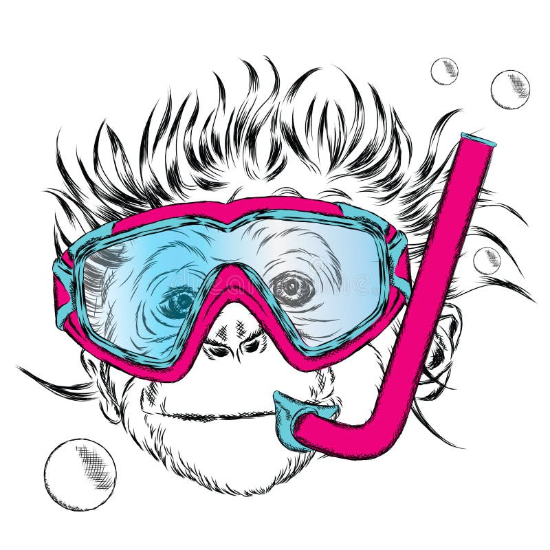 Monkey wearing a helmet. stock vector. Illustration of eyes - 84065876