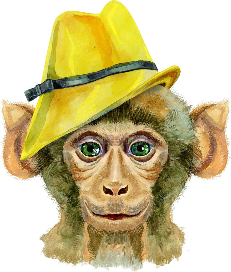 Monkey in Yellow Hat. Watercolor Illustration Isolated on White ...