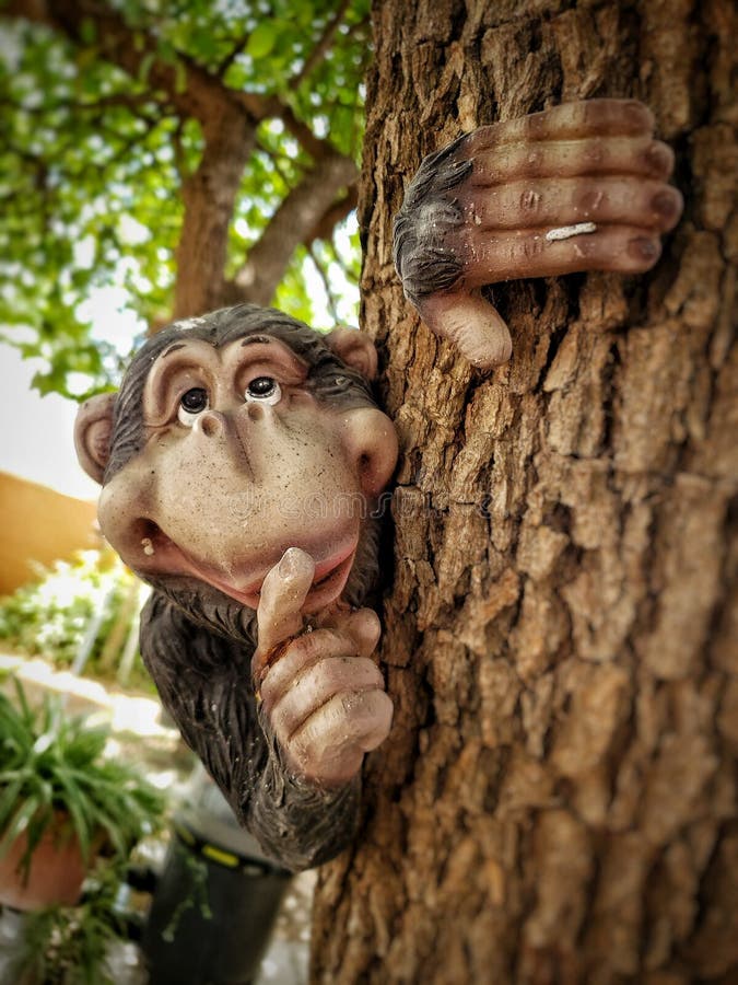 Monkeying Around stock photo. Image of expression, playful - 19854922