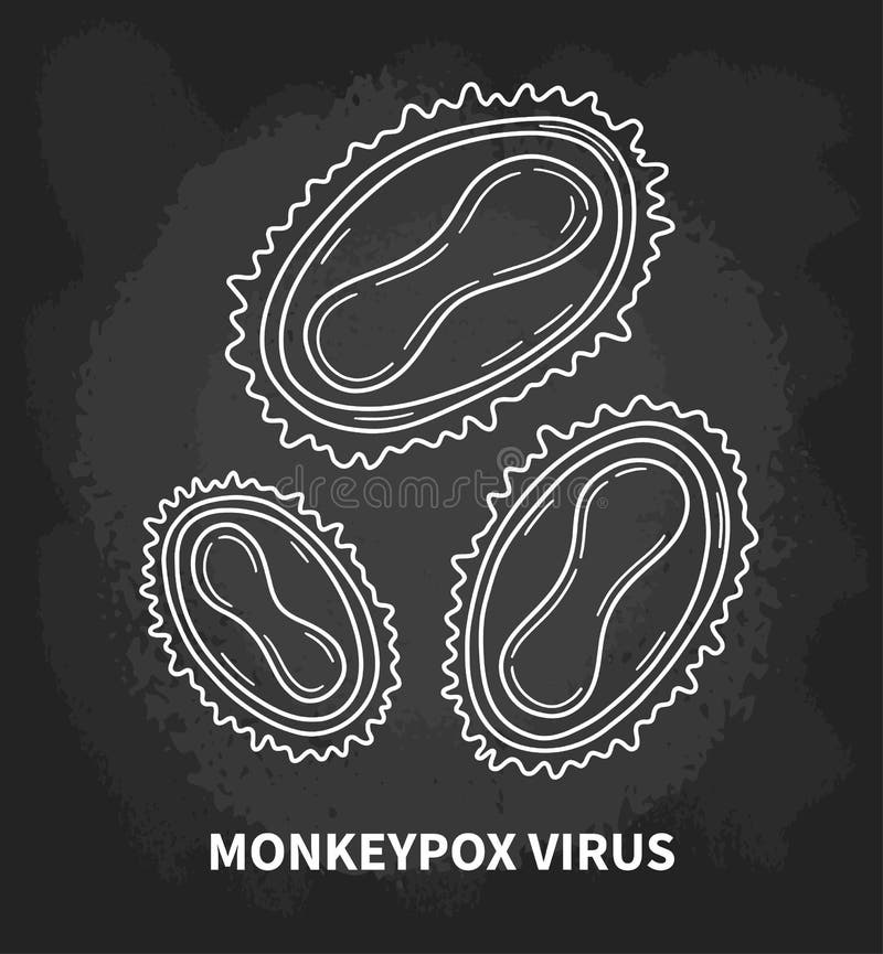 Monkeypox Virus Internal Structure of the Cell in Close Up Stock Vector ...