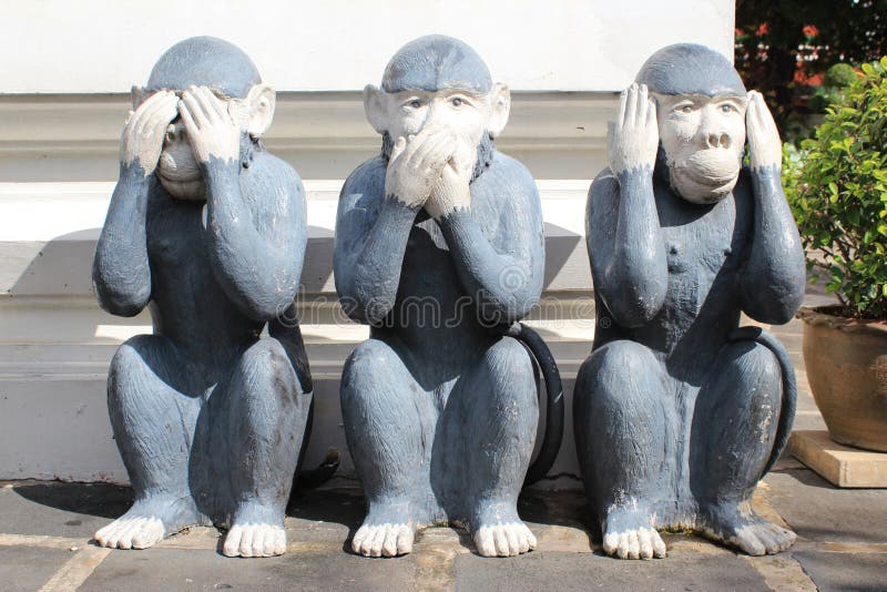 Close-up of STOP and TURN RIGHT AHEAD Road Signs Stock Image - Image of ...