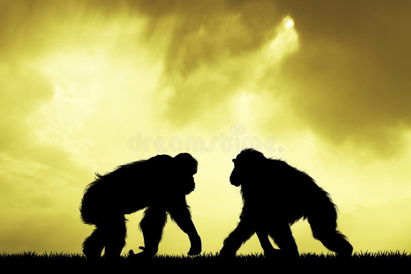 Monkeys at sunset stock illustration. Illustration of gorilla - 75579677