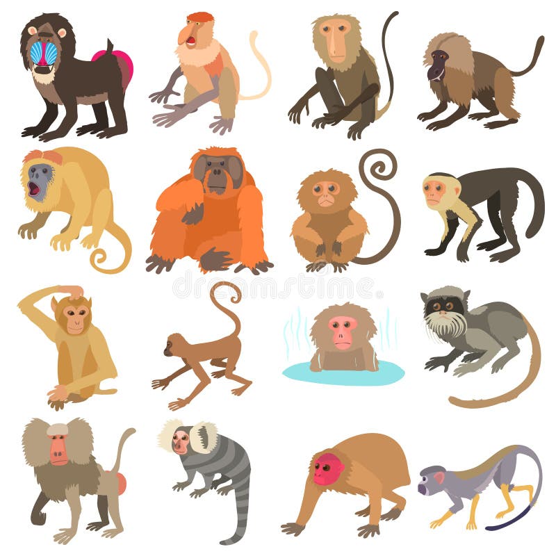 Monkeys Types Icons Set, Cartoon Style Stock Vector - Illustration of ... Monkeys Types Icons Set, Cartoon Style Stock Vector - Illustration of ...