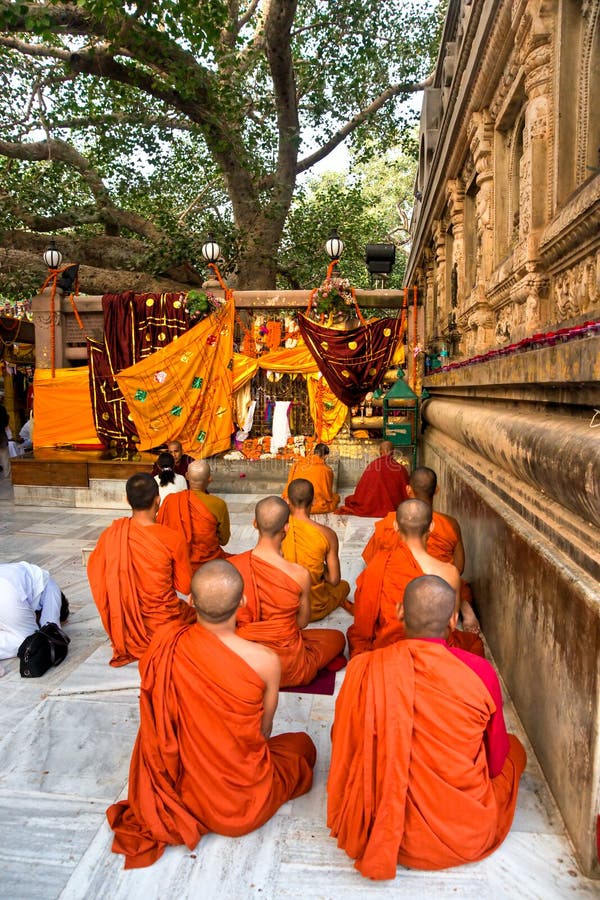 Monks Praying Under the Bodhy-tree, Bodhgaya, Indi Editorial Stock ...