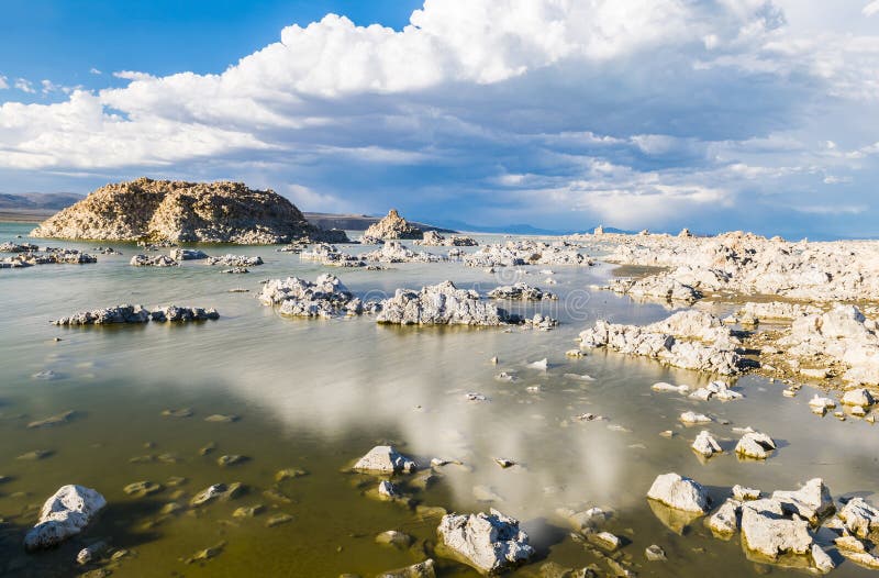 Mono lago foto de archivo. Imagen de soda, agua, travieso - 56940400