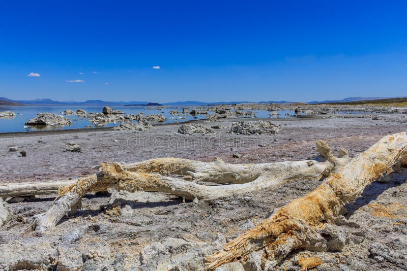 Mono Lake Shore and Tufa Formations, California Stock Image - Image of ...