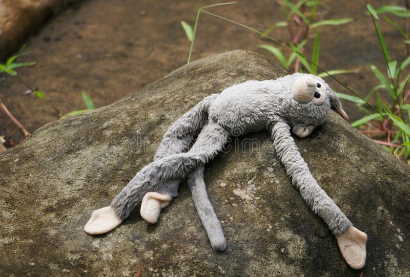 Mono muerto imagen de archivo. Imagen de mono, drogas - 30683563