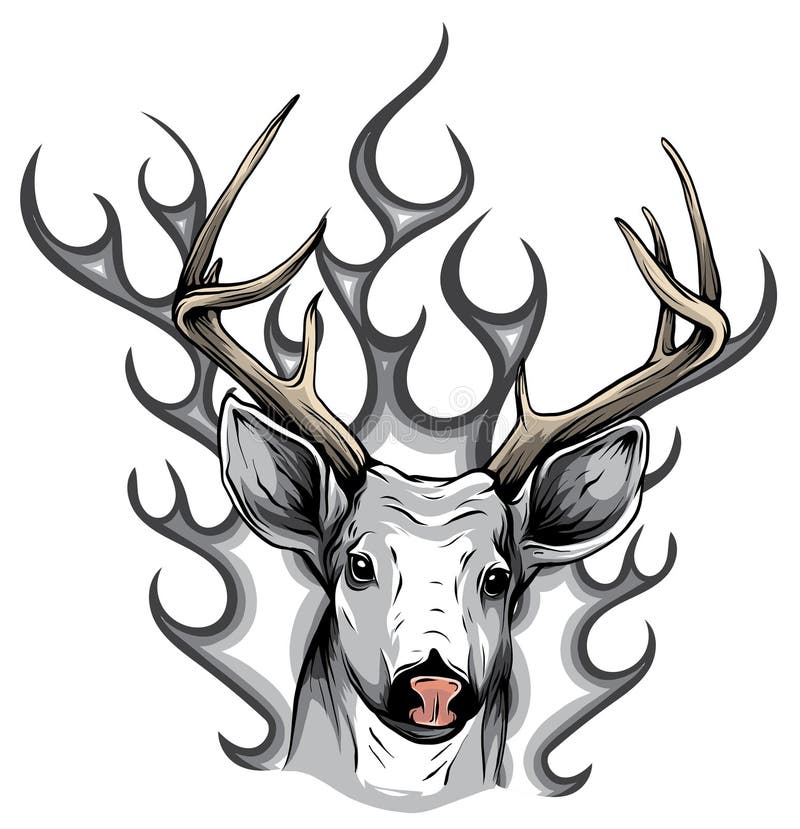 Deer Head on White, Hand Drawn Vintage Illustration Stock Vector ...