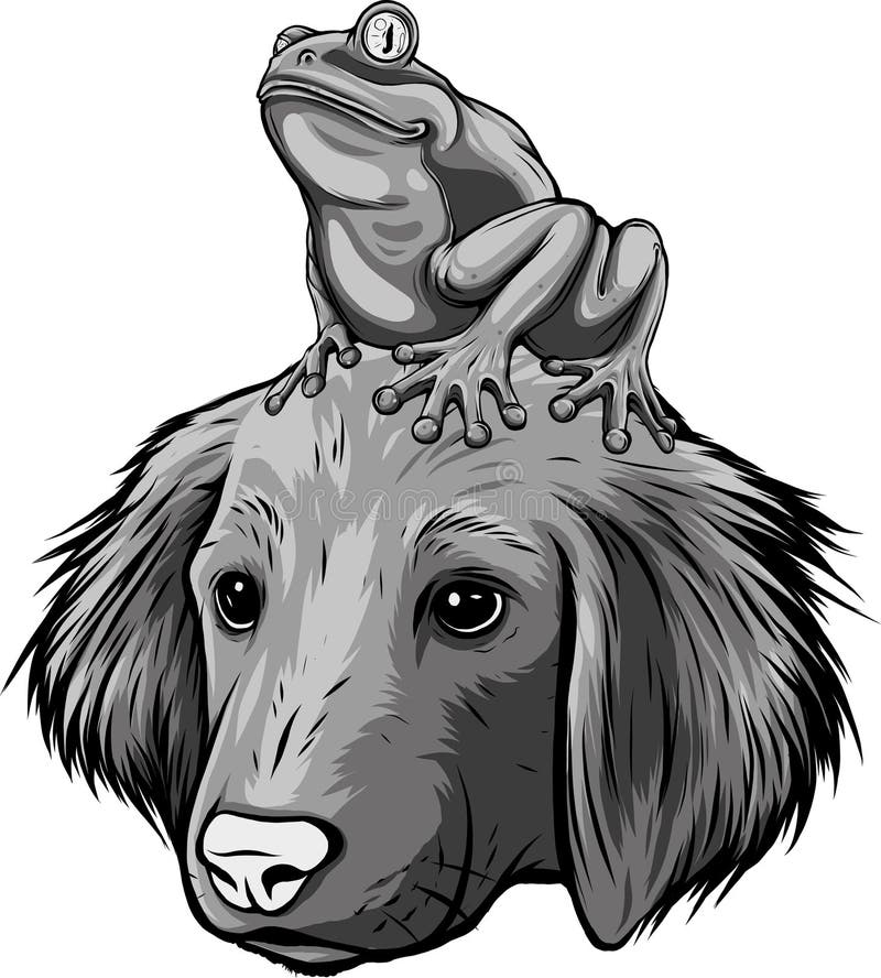 Monochromatic Illustration of Frog Sitting on Dog Head Stock Vector ... Monochromatic Illustration of Frog Sitting on Dog Head Stock Vector ...