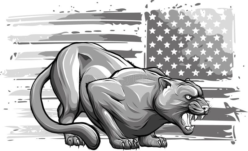Monochromatic Illustration of Puma with American Flag Stock Vector ...