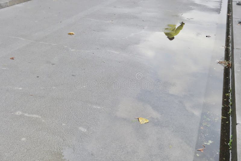 223 Puddle Gutter Stock Photos - Free & Royalty-Free Stock Photos from ...