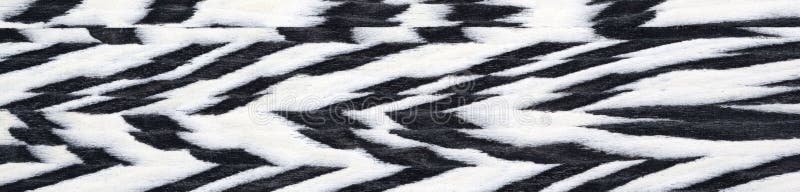 Monochromatic Zebra Pattern Textured Veneer Surface Striking Contrast ...