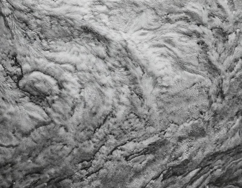 Monochrome Abstract Texture Rough Grayscale Concrete Surface with ...