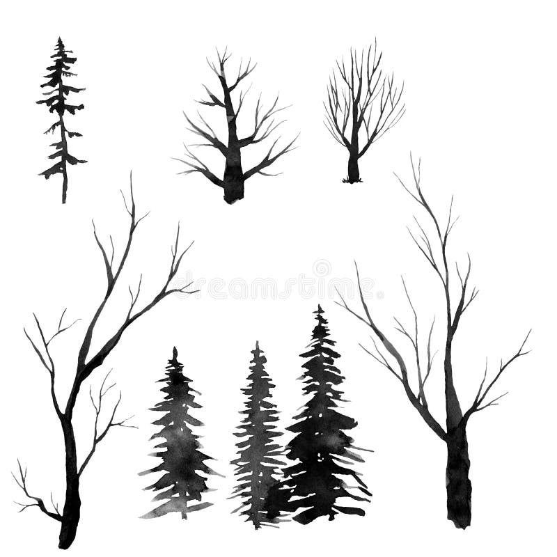Monochrome Black Forest, Trees and Branches, Watercolor Stock ...