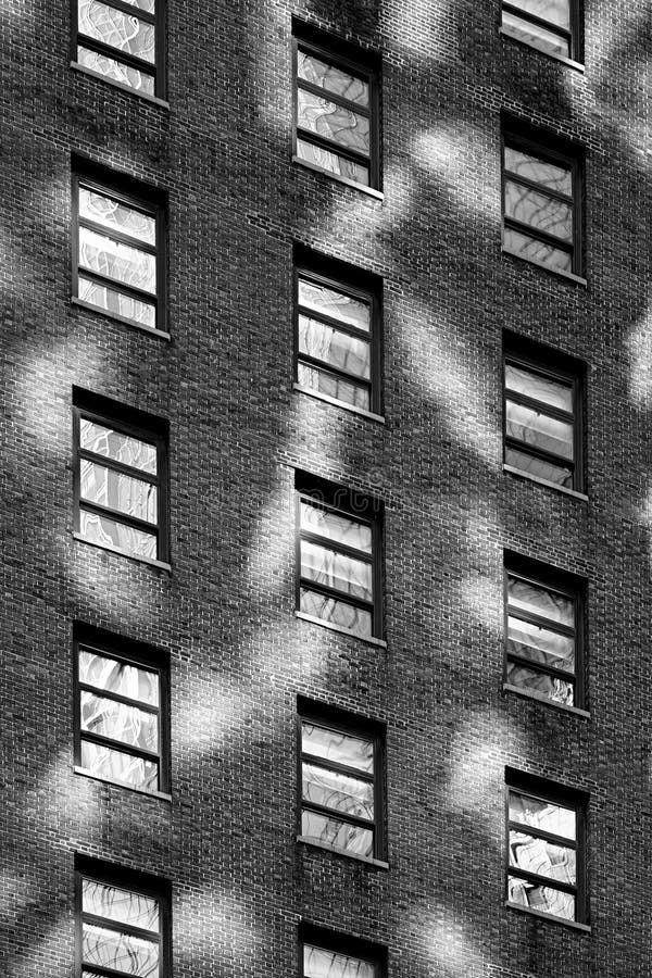 Monochrome Black and White Brick City Apartment Building with Windows ...
