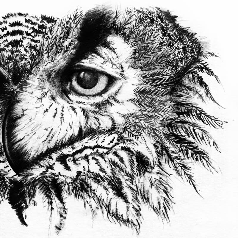 Monochrome Black and White Owl Ink Line Art Sketch Stock Illustration ...