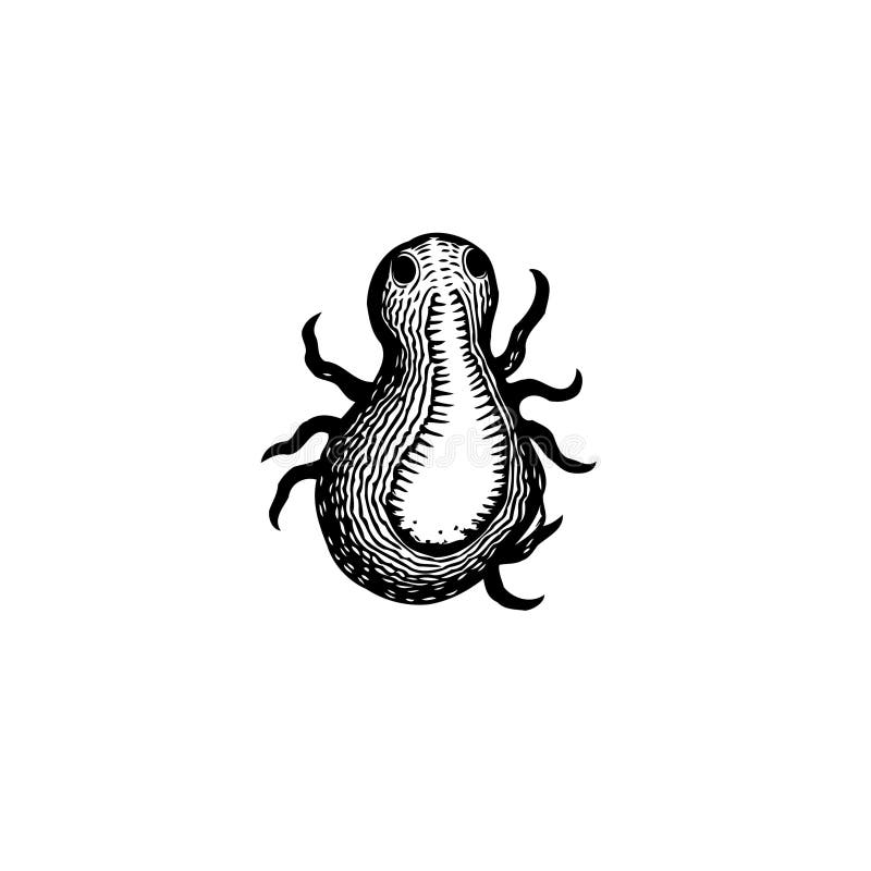 Monochrome Depiction of a Peculiar Invertebrate with Unique Textural ...
