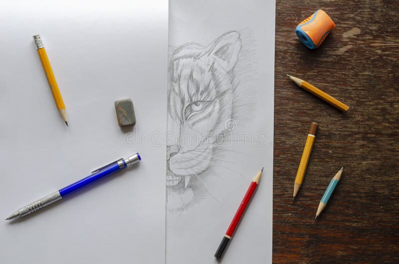 Tiger Drawing Sheet Stock Photos - Free & Royalty-Free Stock Photos ...