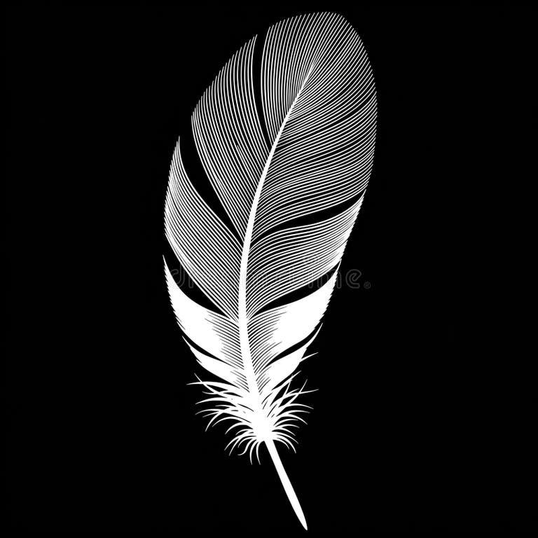 Monochrome Feather Illustration on Black Background Stock Illustration ...