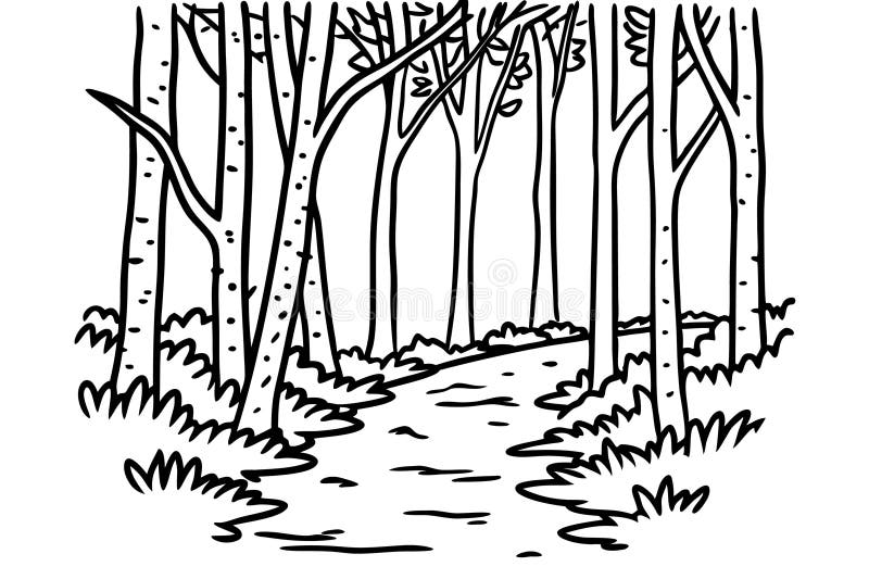 Monochrome Forest Path Drawing Serene Woods with Tall Trees and Curved ...