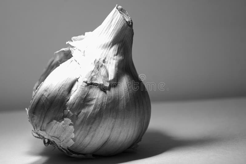 Monochrome Garlic in Contrast Light Stock Image - Image of eating ...