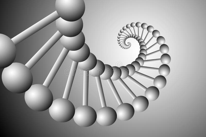 Monochrome Gene Spiral Illustration. Fractal Vector Spiral Stock Vector ...