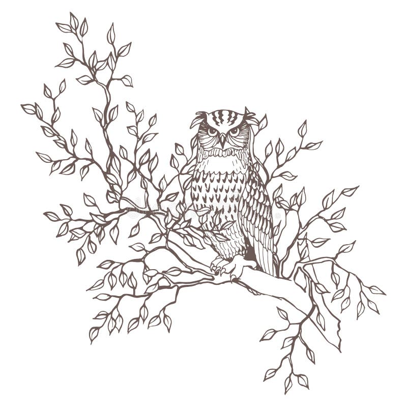 Owl Sitting Tree Outline Stock Illustrations – 114 Owl Sitting Tree ... Owl Sitting Tree Outline Stock Illustrations – 114 Owl Sitting Tree ...