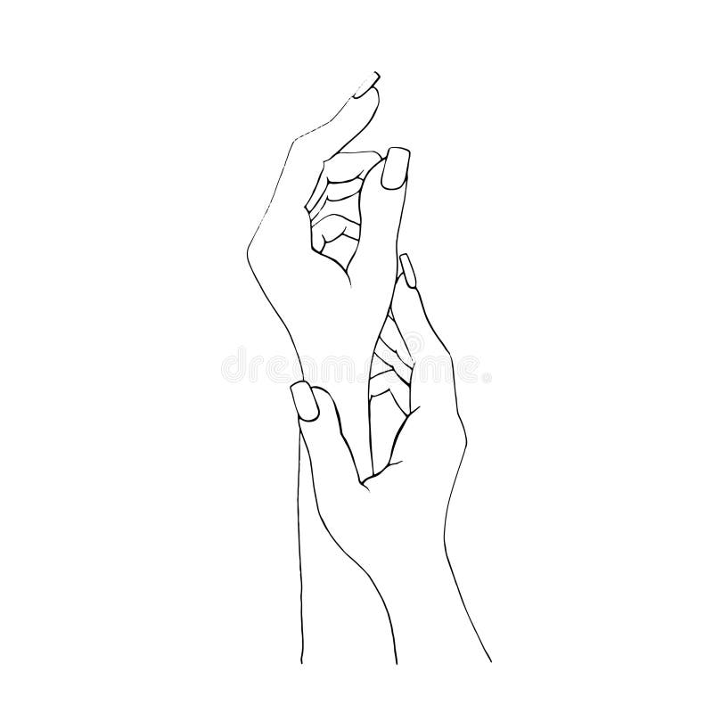 Monochrome Hand Drawn Female Hands. Black and White Vector Illustration ...