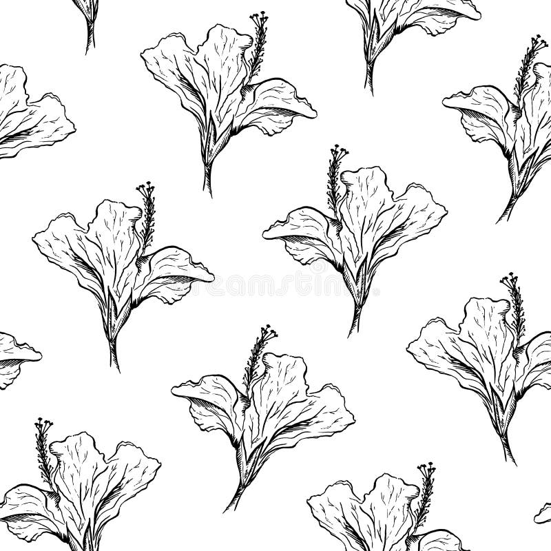 Monochrome Hibiscus Flower Plant Line Art Seamless Pattern Vector Stock ...