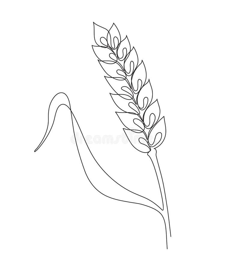 Wheat Line Icon. Agriculture Vector Illustration Isolated On White ...