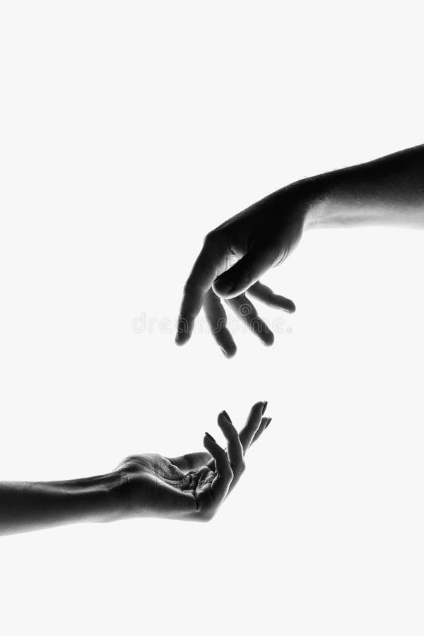 Monochrome Image of Beautiful Hands in Different Motion Isolated on ...