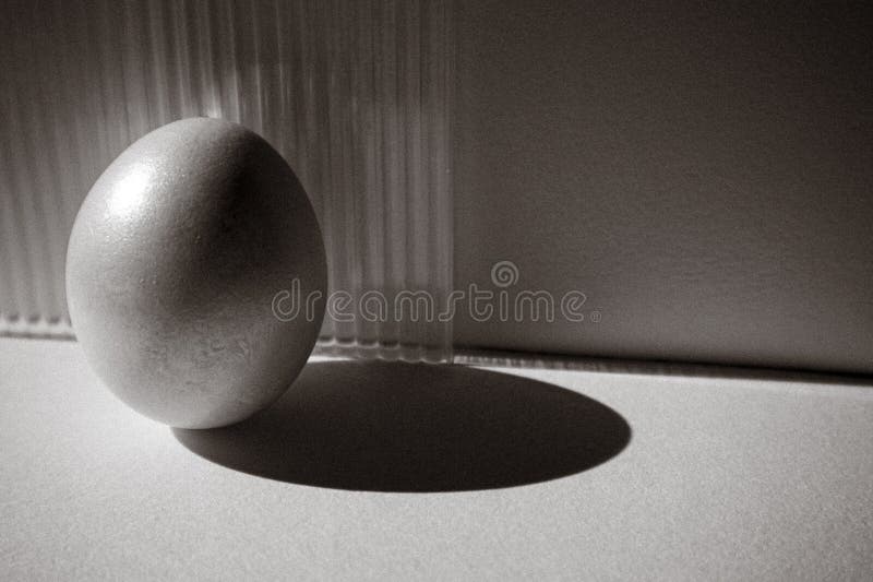 A Monochrome Image Features a Single Egg with Dramatic Lighting ...