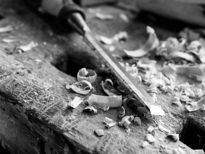 Chisel and Wood Curls stock photo. Image of woodshop, shavings - 8552432