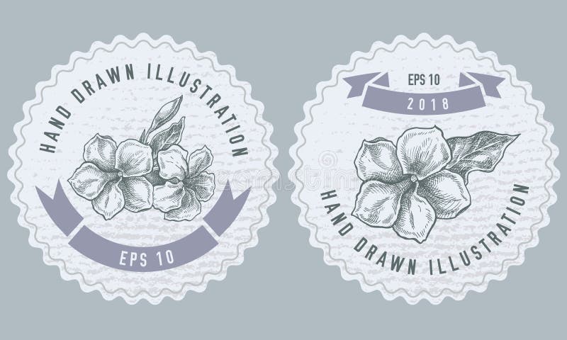 Monochrome Labels Design with Illustration of Allamanda Stock Vector ...