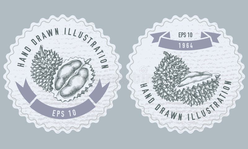 Durian Labels Stock Illustrations – 25 Durian Labels Stock ...