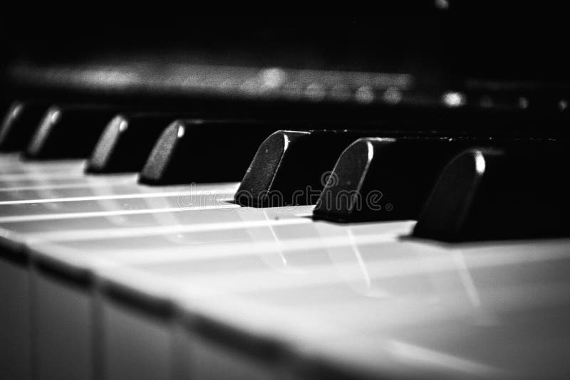 Piano stock image. Image of monochrome, piano, music - 132030169