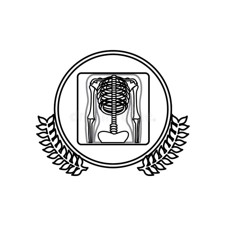 Monochrome with X-ray of Bones in Circle with Olive Branchs Stock ...