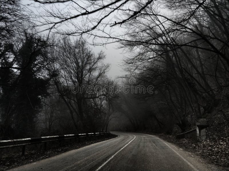 Monochrome road stock photo. Image of monochrome, road - 135915624