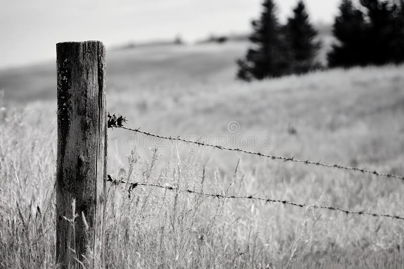 Monochrome Rustic Fence Post Barbed Wire Field Landscape Stock ...