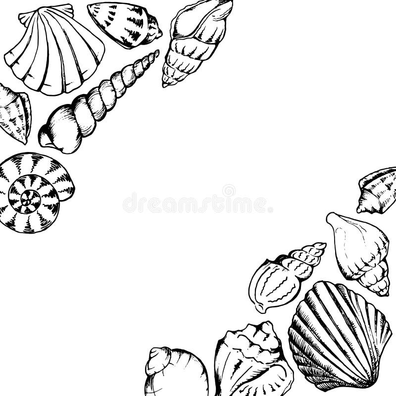 Monochrome Sea Shells Line Art Hand Drawn Frame Vector Isolated Stock ...