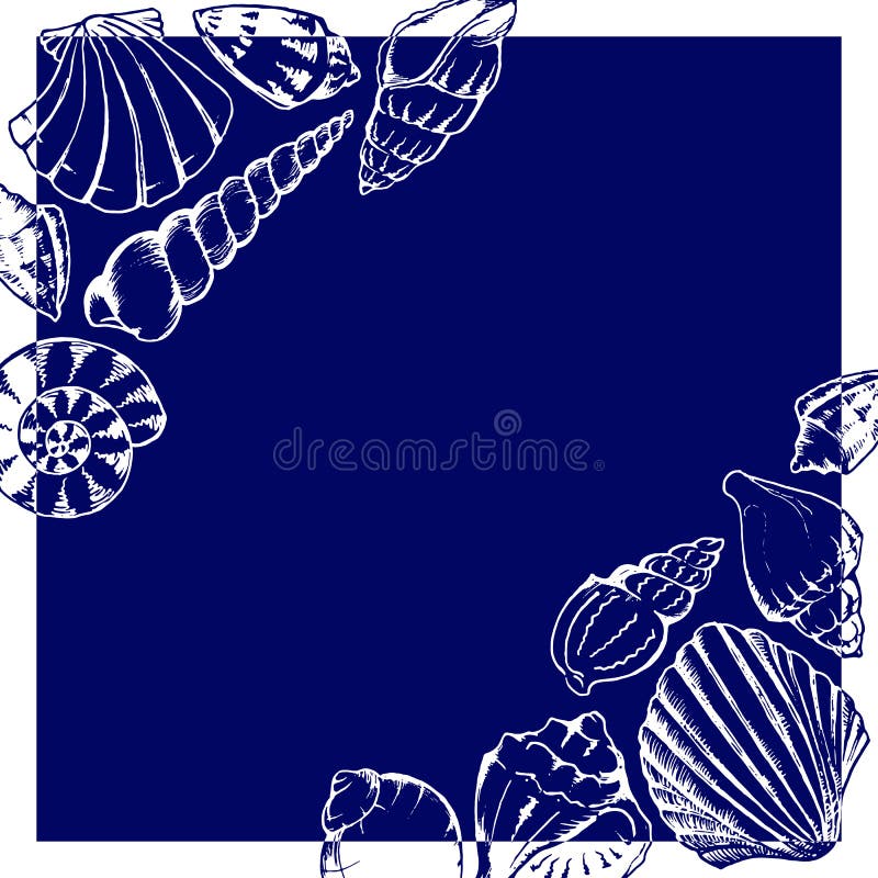 Monochrome Sea Shells Line Art Hand Drawn Frame Vector Isolated Stock ...
