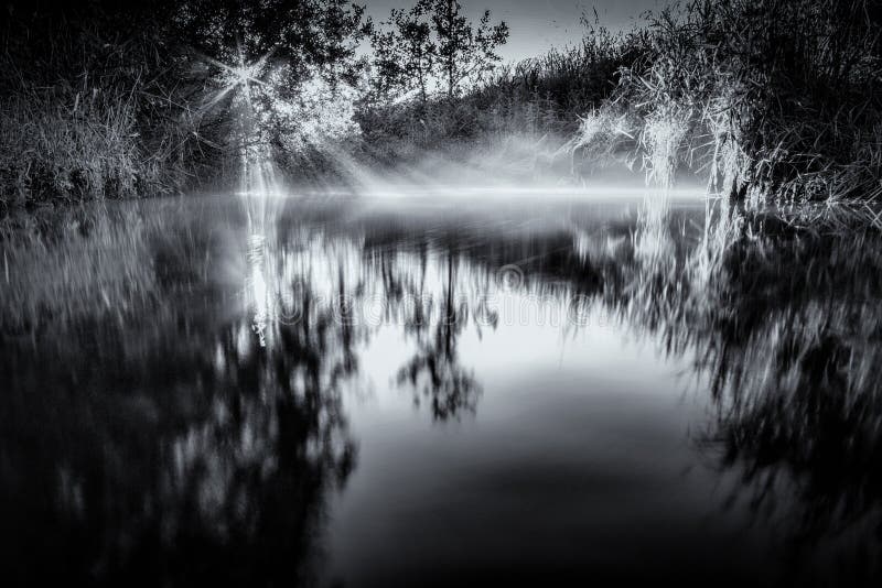 Monochrome Shot of the Sun Trails Over the Misty Pond Surrounded by ...