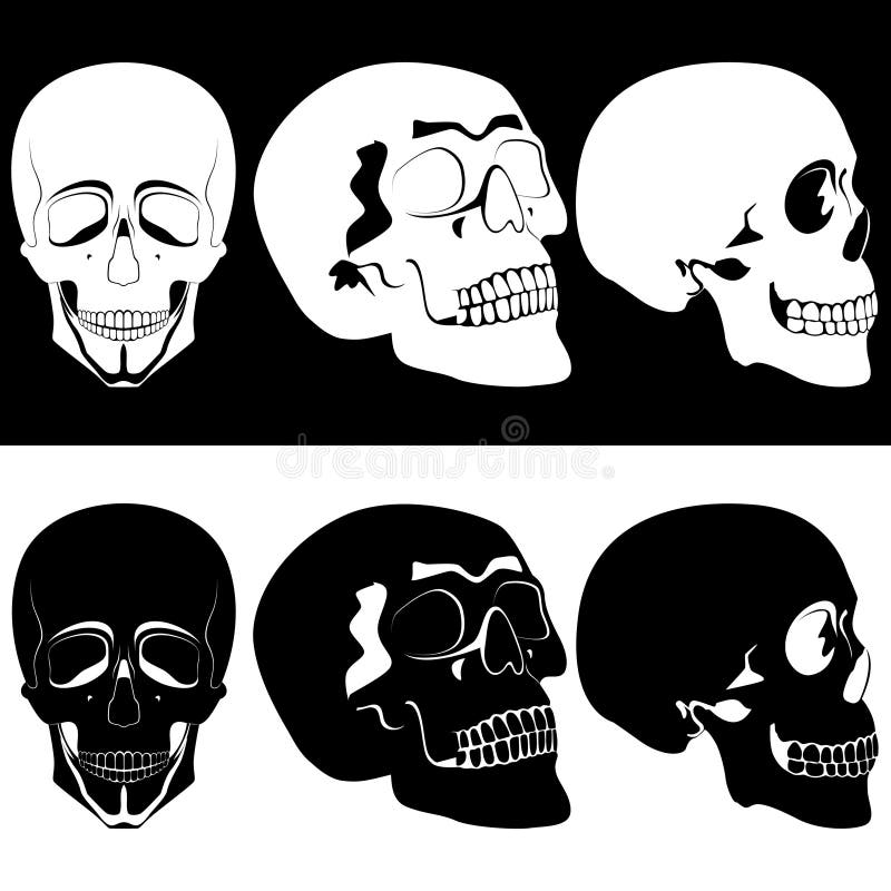 Multiple Skulls stock vector. Illustration of expressions - 12195908