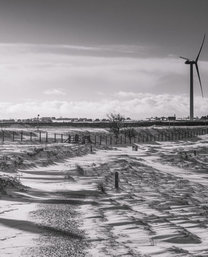 Monochrome snow scene stock photo. Image of snow, shot - 50746728