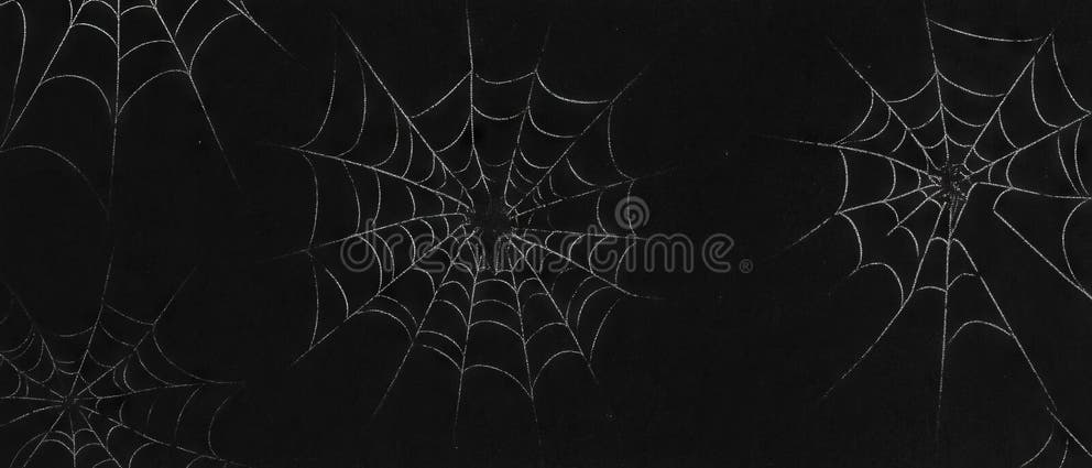 Monochrome Spider Web Overlay Design with Classic Texture on a Black ...