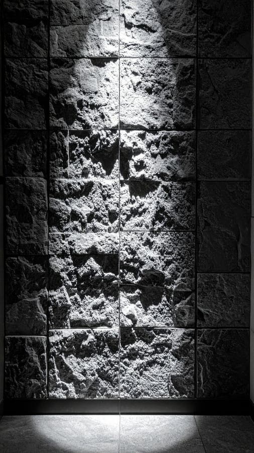 Monochrome Stone Wall Texture with Lighting and Detailed Rough Surface Stock Illustration ...
