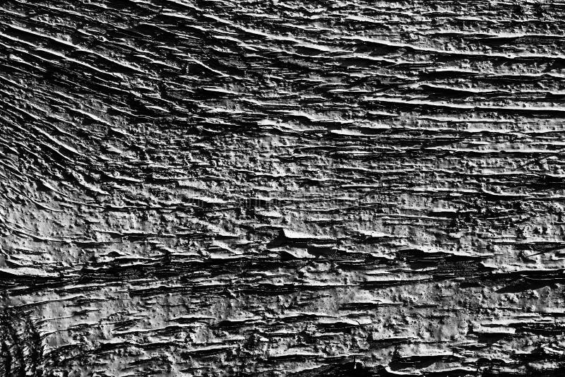 Monochrome Texture of a Board. Abstract Background Stock Image - Image ...